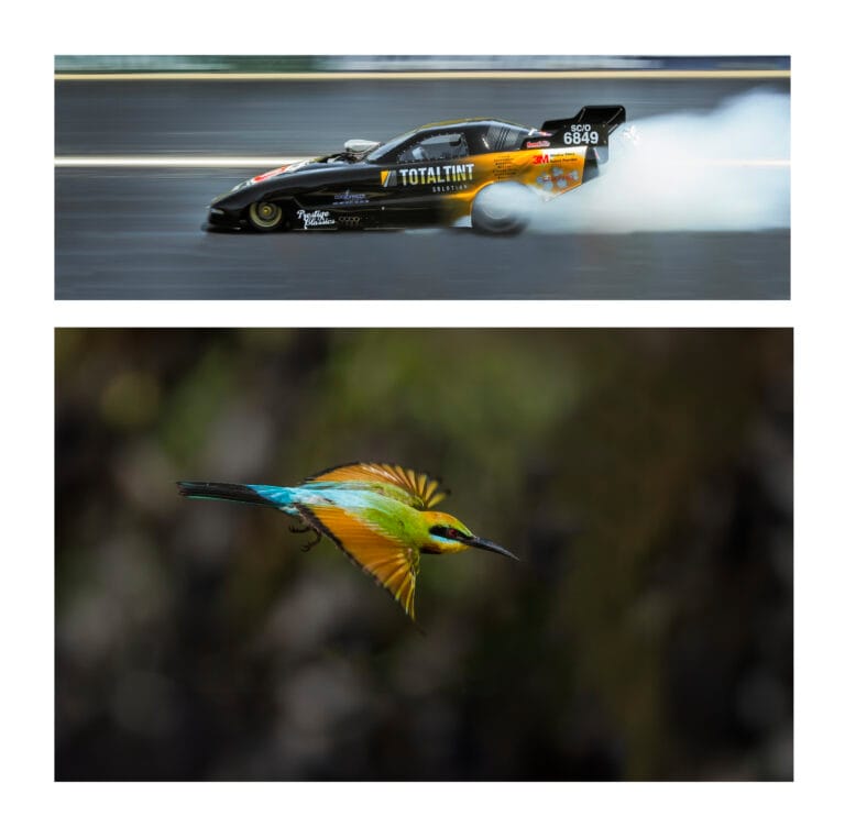 Bird and Racing Car Photography 23rd July 2025 – Northern Exposure ...